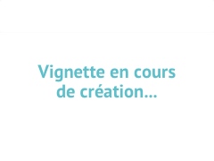 Hanjie Star : Jouez au hanjie en ligne gratuitement